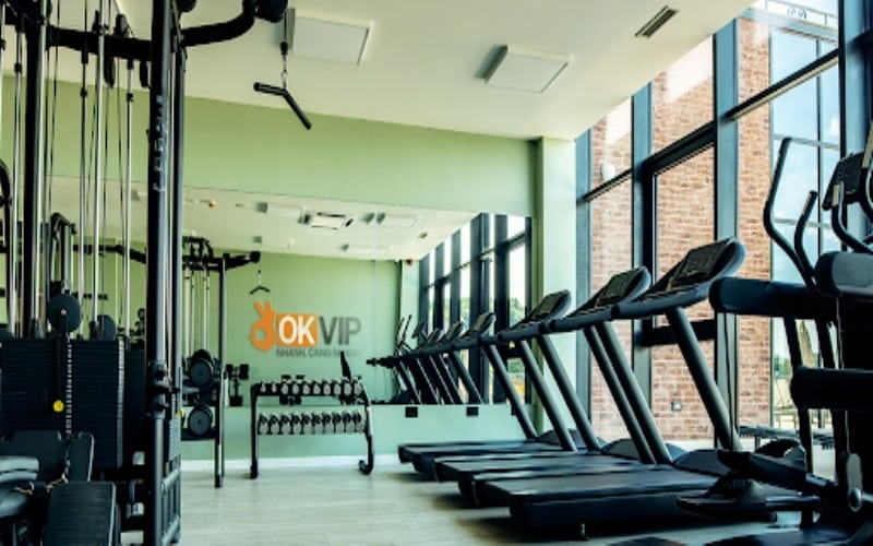 OKVIP - Get an Overview of the Leading Entertainment Group