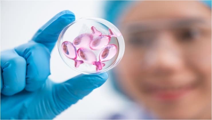 Revolutionizing Biotech: How Custom Antibody Services Are Shaping the ...