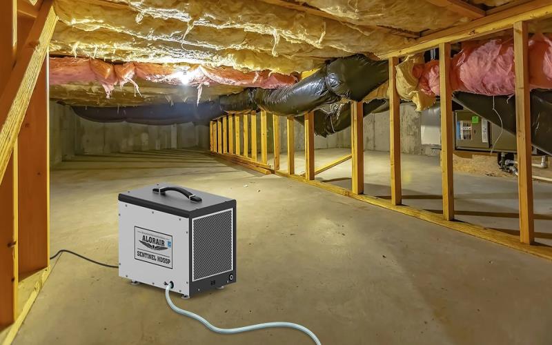 Finding the Best Humidifier for Your Basement: Why an Alorair ...