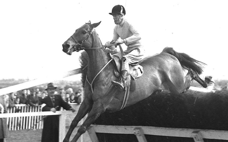 The Legend of Arkle: A Games Phenomenon
